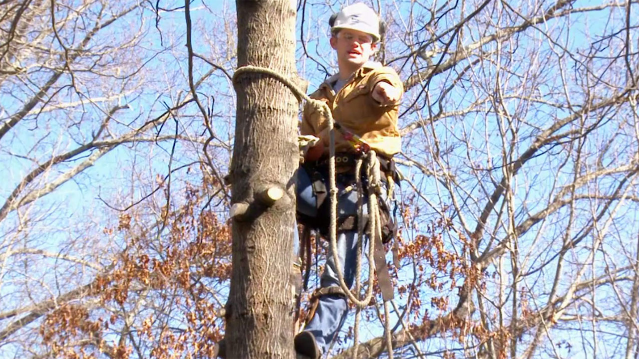 Bates Exclusive Video - Tree For Two