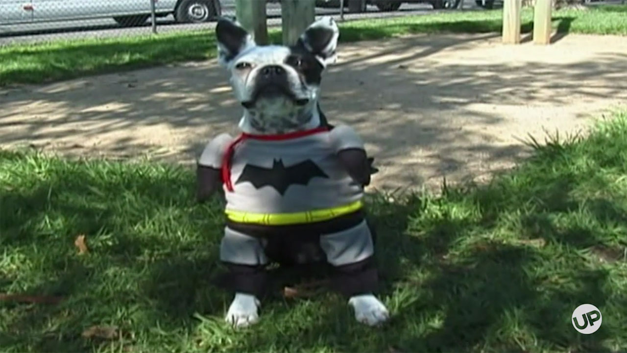 Watch "AFV" Episodes Featuring the Best of Funny Home Videos on UPtv!