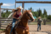 Heartland Episode - On the Ropes