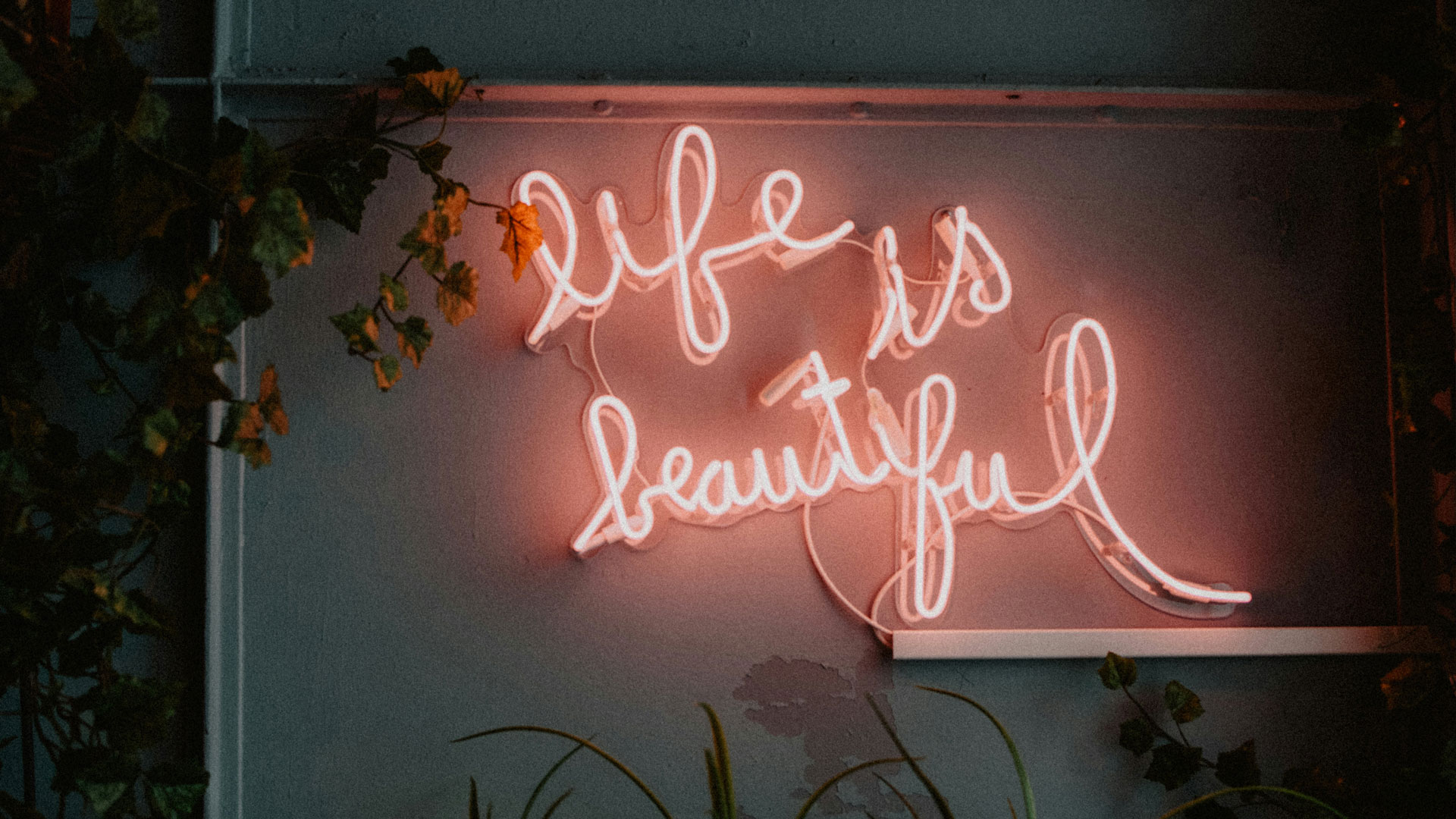 Seizing the Extraordinary: How to Make the Most of Leap Day - UPtv