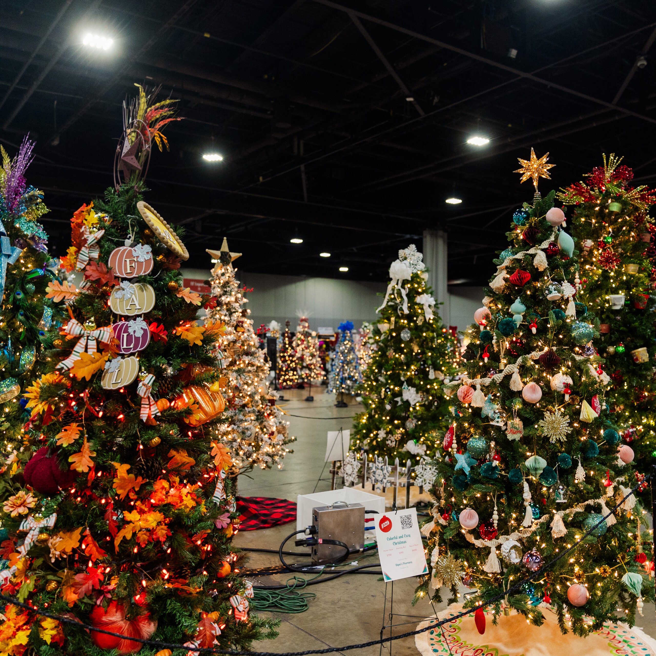 A Joyful Holiday Tradition: The Festival of Trees - UPtv