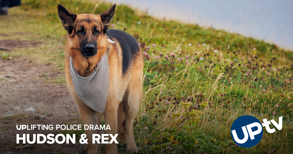 Hudson & Rex Episode - Game of Bones