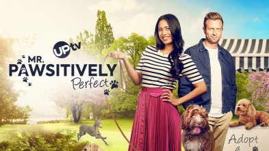 UPtv Programming Schedule - Watch Our Shows & Movies
