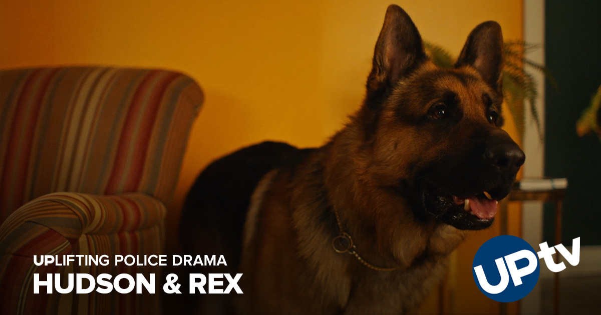 Hudson & Rex - Top Gun - UPtv